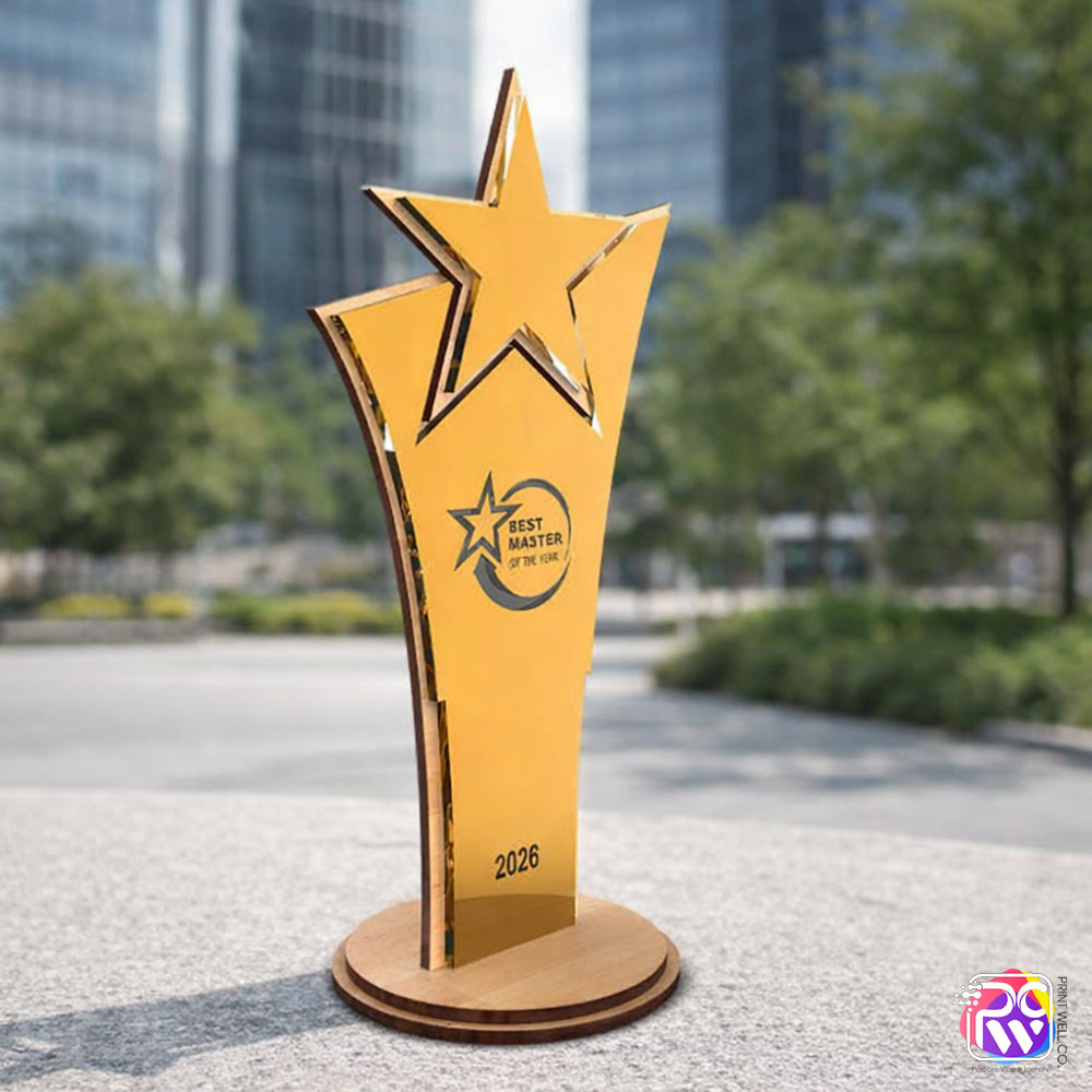 Personalized Star Excellence Award Trophy